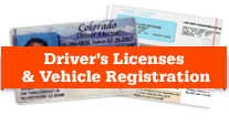 Drivers License Image — Colorado Department of Transportation
