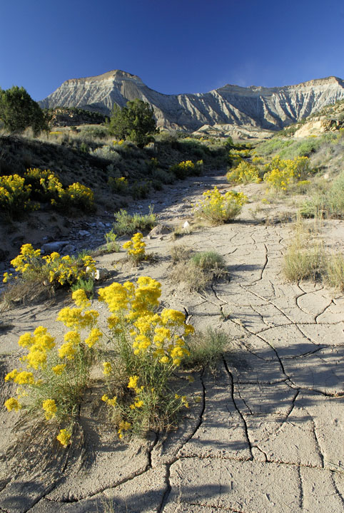 Book Cliff at I-70 at De Beque — Colorado Department of Transportation